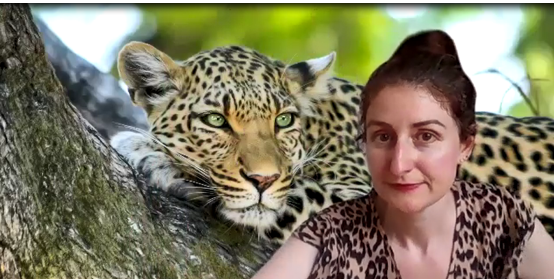 Those Awful “Meet the Team” Pages are Torture - Articles - Advisor ...